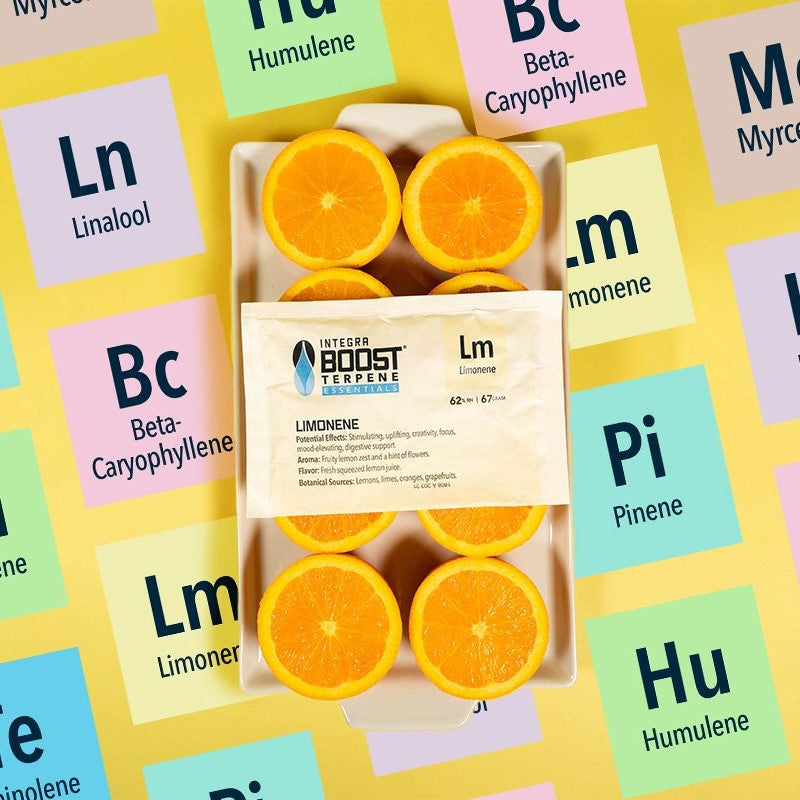 How Integra Boost® Works - Integra Products