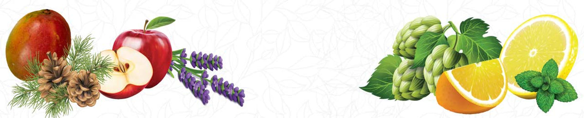 Integra Boost® Terpene Essentials - Integra Products